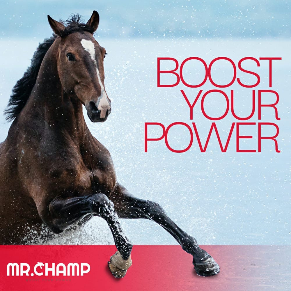 Mr Champ – Arabian Organics