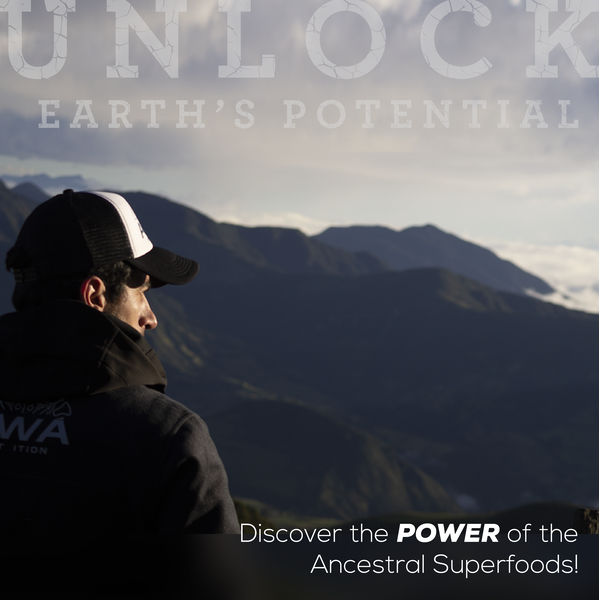 AWÁ Nutrition's Tropical Splash Protein Powder – Arabian Organics