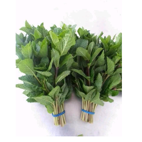 Mint -Kenya – Arabian Organics