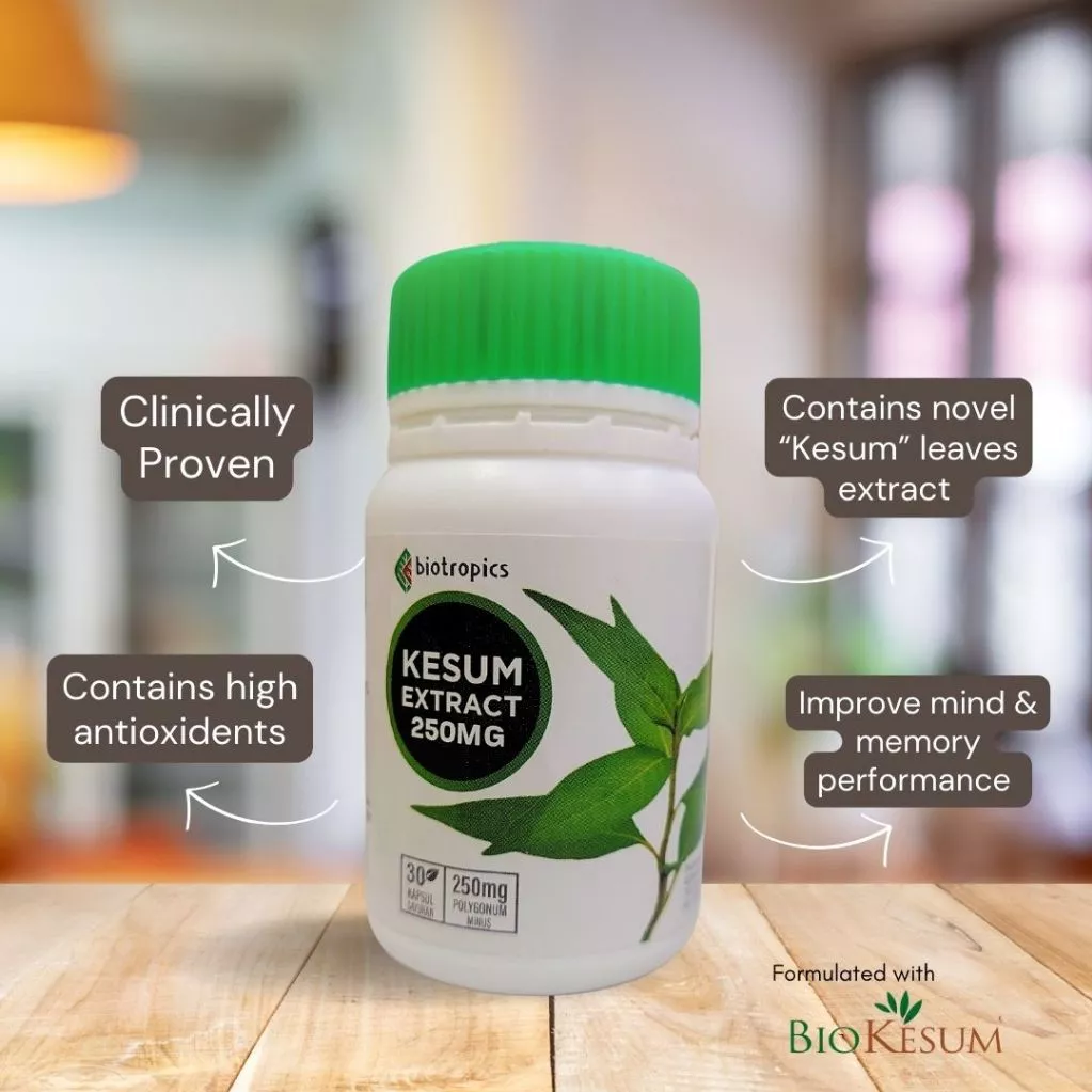 Kesum Extract 250mg – Arabian Organics