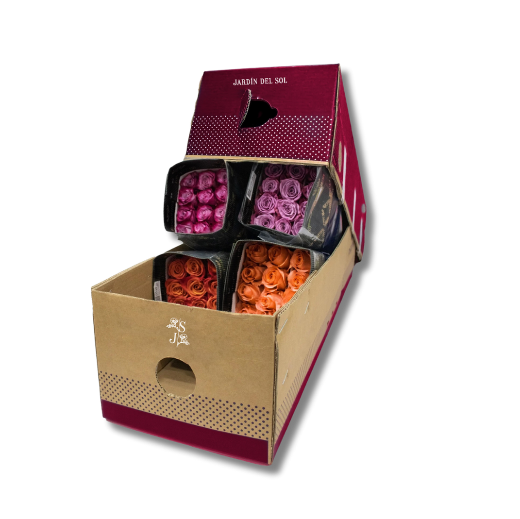 Princess Crown rose – Arabian Organics