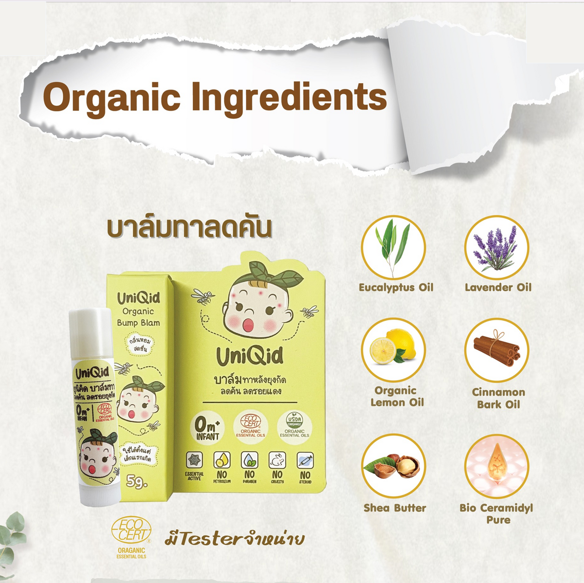 (OEM) ORGANIC BIO INSECT REPELLENT SPARY AND BALM FOR KID,ECOCERT & US ...