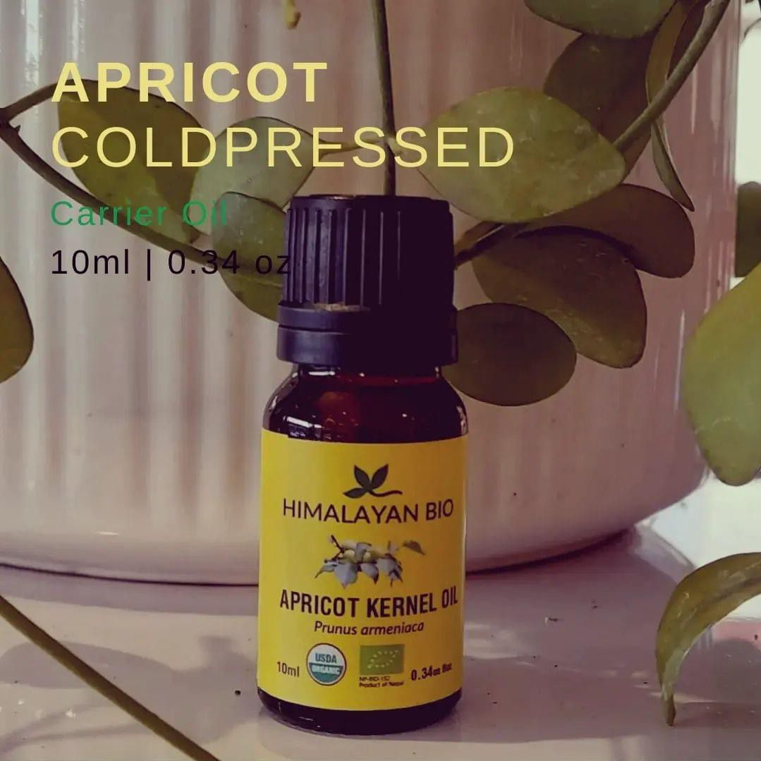 Apricot Kernel Oil – Arabian Organics