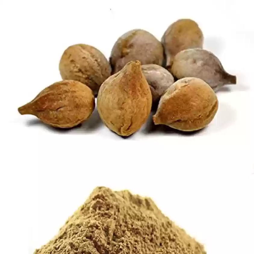 Organic Terminalia Bellerica Baheda Powder – Arabian Organics