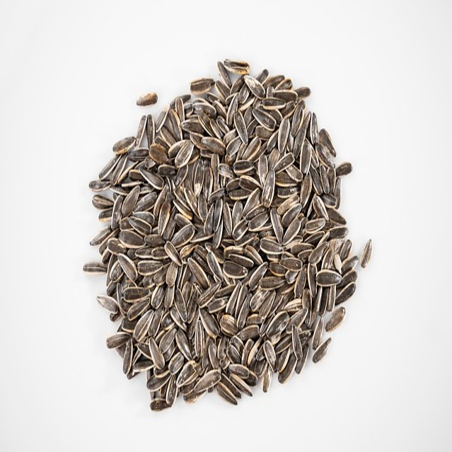 Organic Sunflower Seed – Arabian Organics