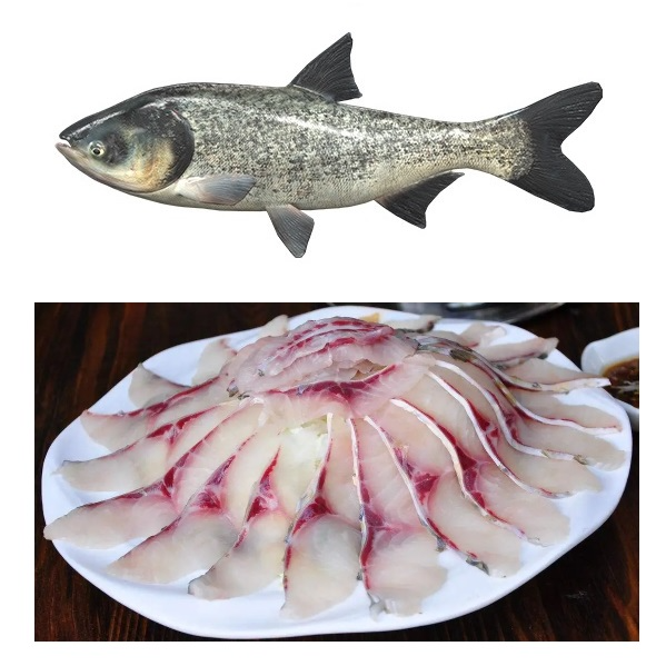 Carp Fish & Fillet – Arabian Organics