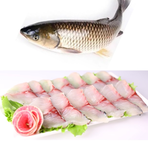 Grass Carp fish & fillet – Arabian Organics
