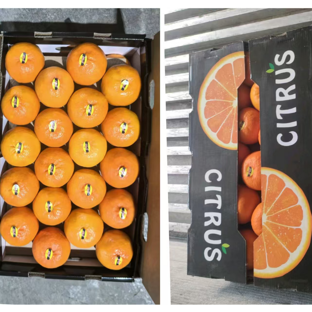 Wogan mandarin – Arabian Organics