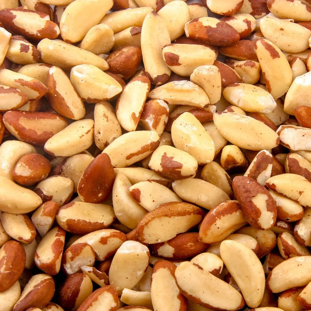 Brazilian Nuts – Arabian Organics