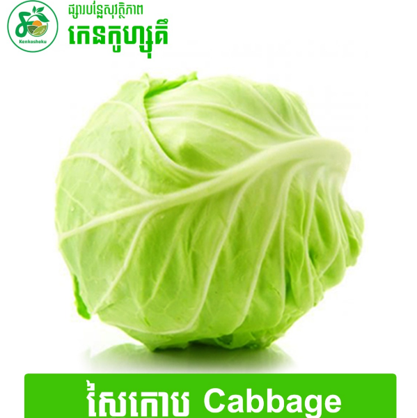 Cabbage – Arabian Organics