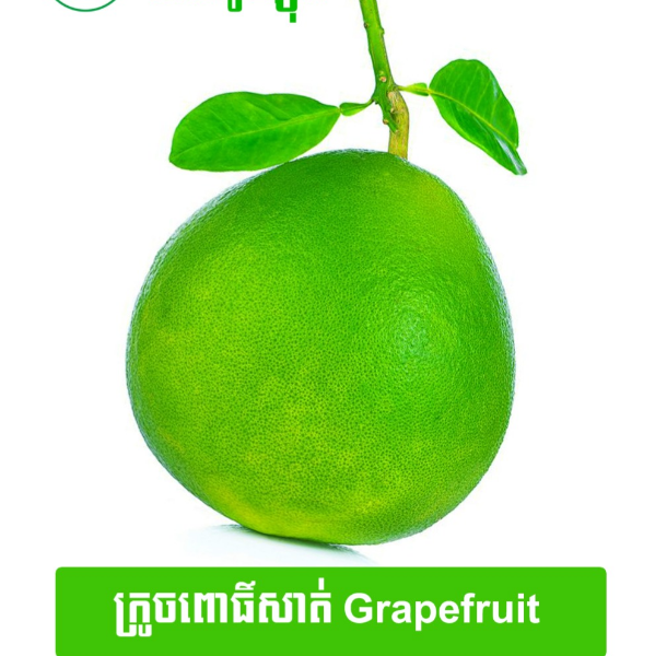 Pursat Orange – Arabian Organics