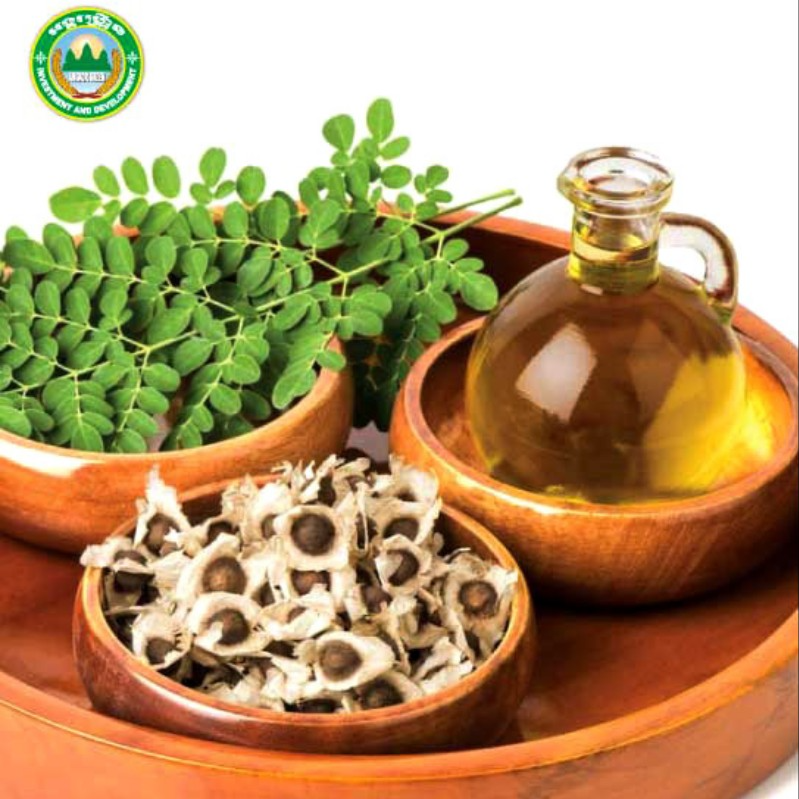 Organic Moringa Oil – Arabian Organics