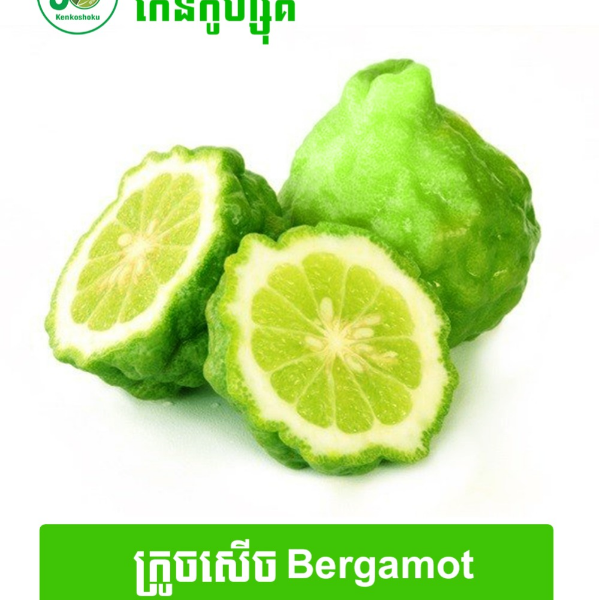 Laughing Orange – Arabian Organics