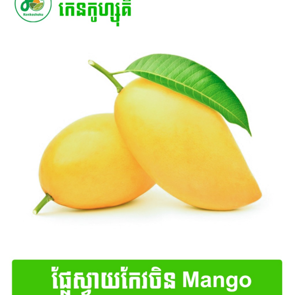 Mango – Arabian Organics