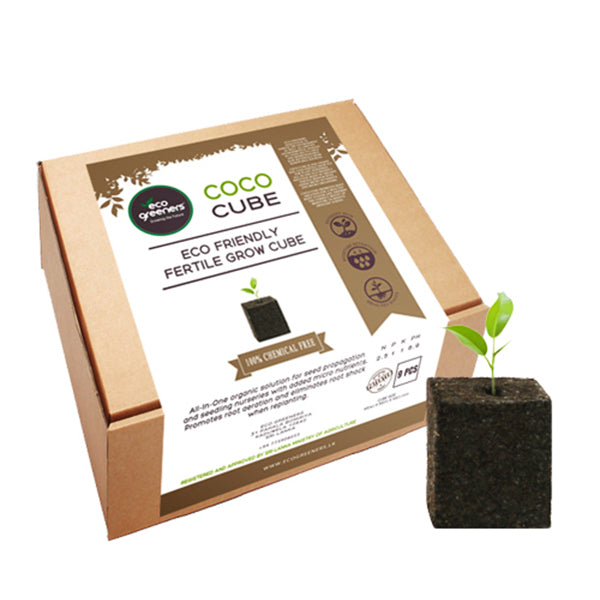 Coco Cube - Gift Pack - Box Of 9 – Arabian Organics