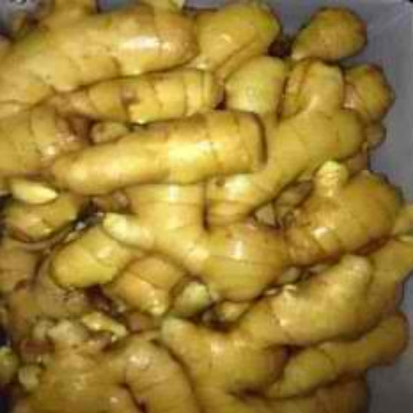 Fresh Ginger – Arabian Organics