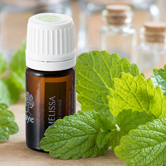 Mayie Lemon Balm (Melissa Officinalis) Essential Oil, 5ml – Arabian ...