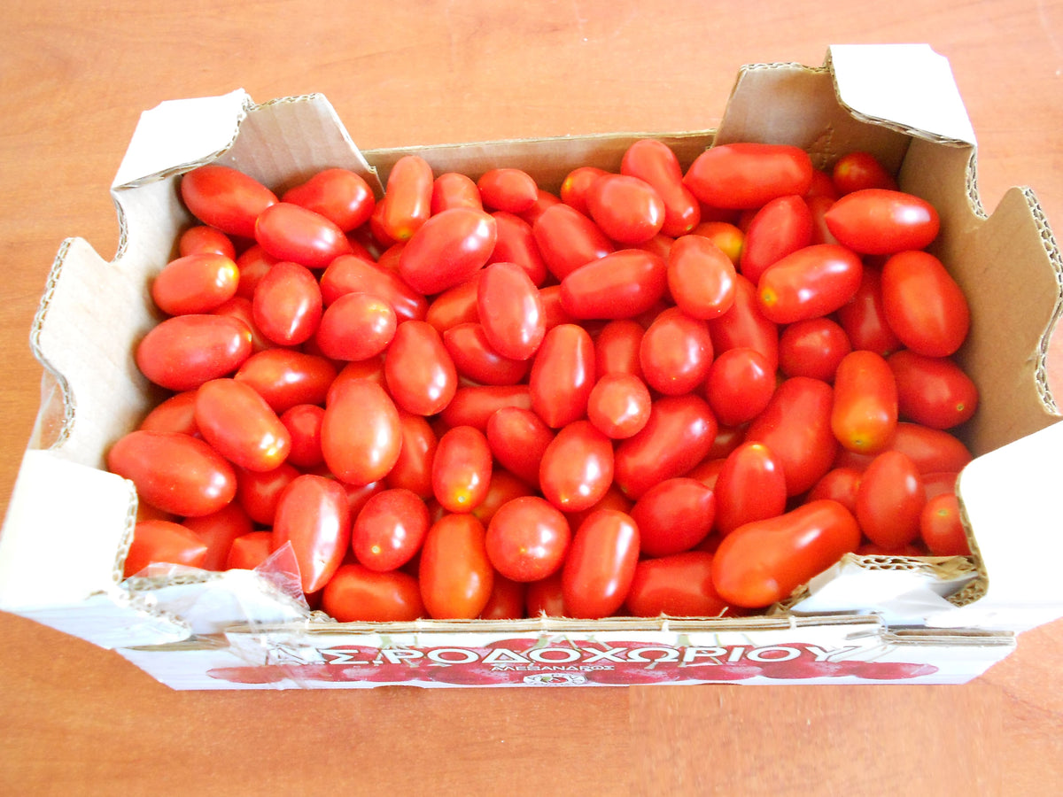 Mini tomatoes – Arabian Organics