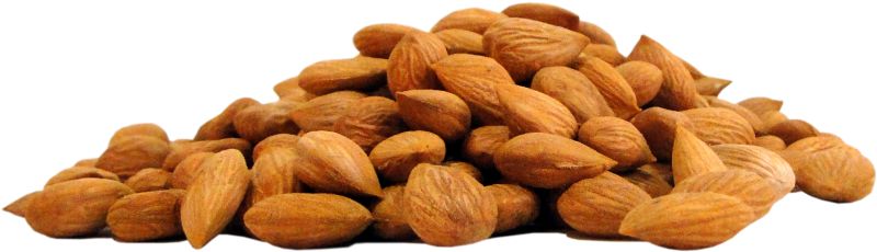 Apricot kernels – Arabian Organics